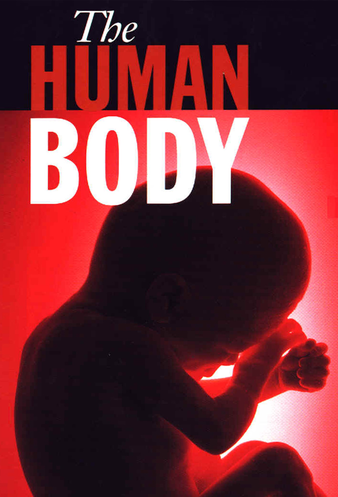The Human Body Season 1 Release Date | Episode Calendar | Series Reminder